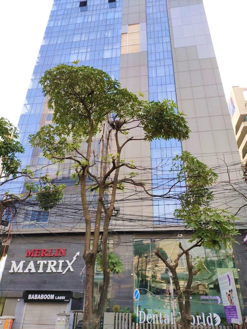 Merlin Matrix in Bidhannagar, Kolkata | Cityinfo Services