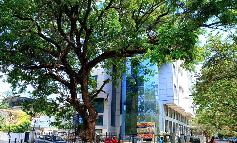 Karuna Conclave in Anna Nagar, Chennai | Cityinfo Services